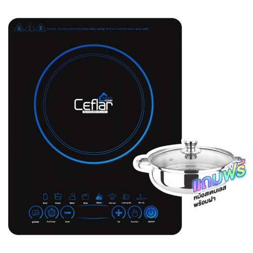 induction cooker - CEFLAR